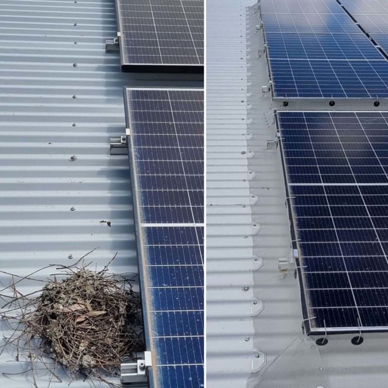 Solar Panel Protection - Port Macquarie Gutter Guard